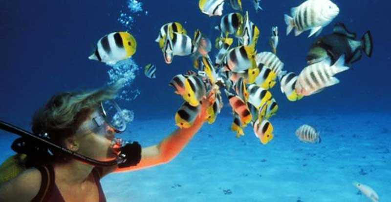 la plongée à Nosy-Be | Tout ce qu’il faut savoir sur l' ile